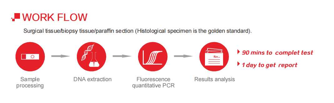 Human KRAS Gene Seven Mutation Detection Kit – www.yzymed.cn